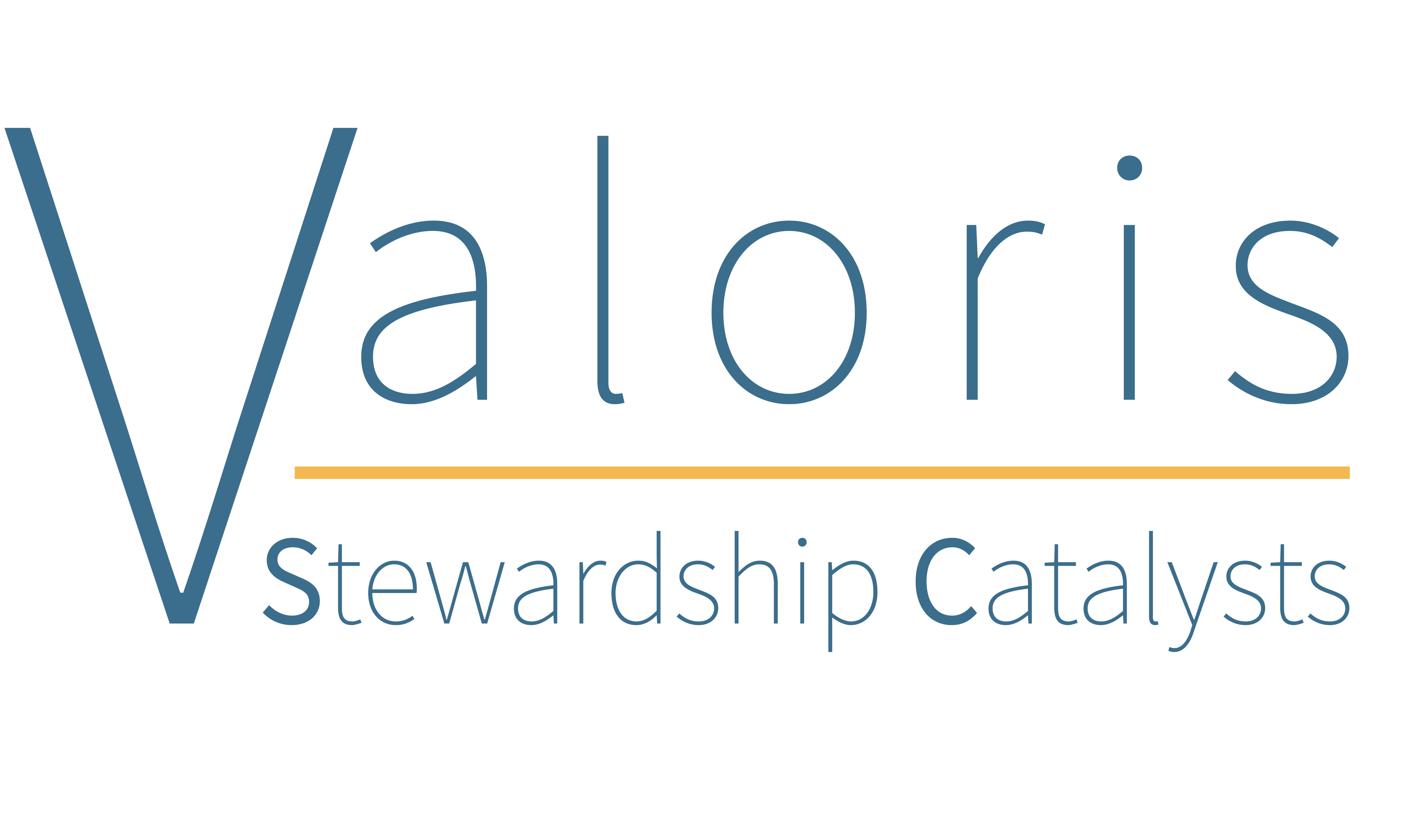 Home [valoriscatalysts.com]